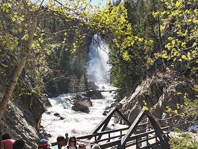 Autumn transforms the falls into a masterpiece framed by golden aspens&mdash;nature's own gallery opening every September.