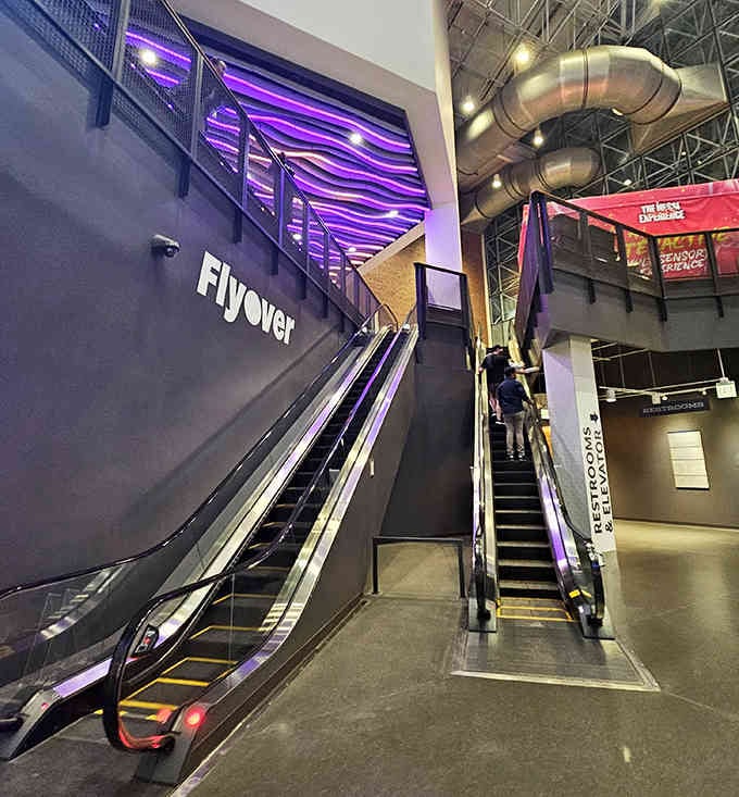 The escalator ride up builds anticipation, giving you time to wonder if you remembered to silence your phone.