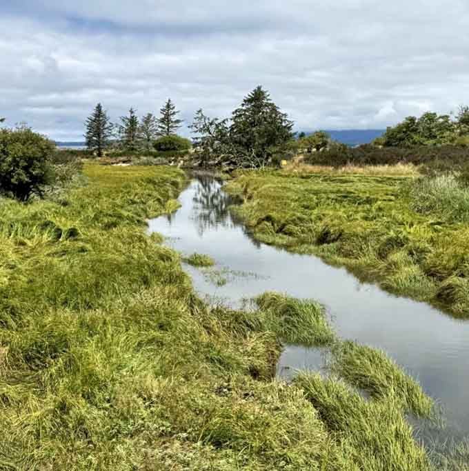 Marshland stretches toward the horizon, where coastal wetlands meet the sky in Oregon's signature moody, contemplative style.