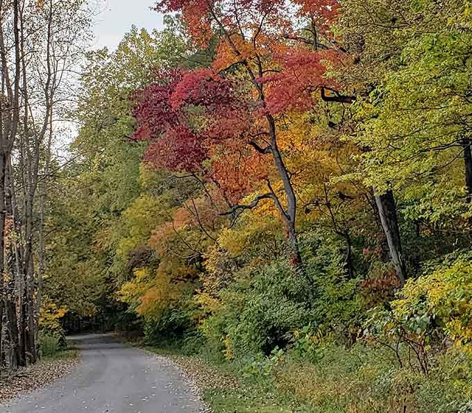 Fall colors that make you understand why people write poetry about autumn in the Midwest.