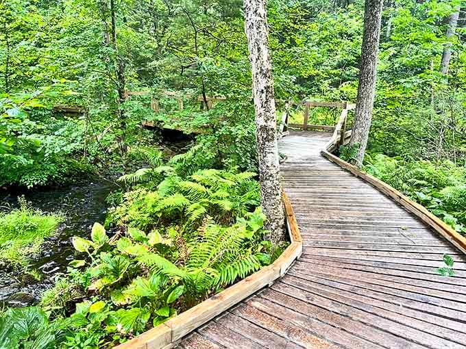Boardwalks through wetlands let you explore ecosystems up close without becoming part of the mud-covered ecosystem yourself.
