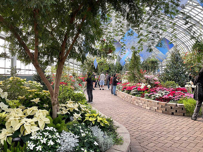 Winter blooms and brick pathways create a scene so cheerful, even Scrooge would crack a smile here.