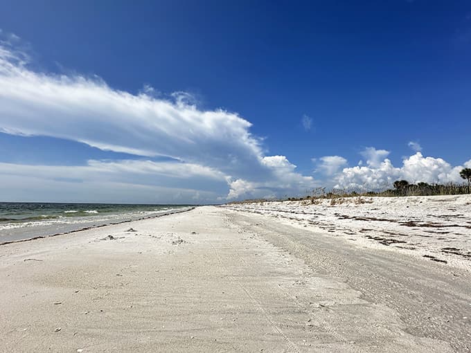 Miles of untouched shoreline stretching endlessly, nature's way of showing off without being too flashy.