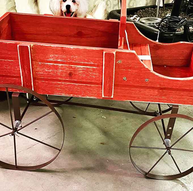 This vintage-style wagon planter brings farmhouse charm to any garden, no actual farm required for assembly or enjoyment.