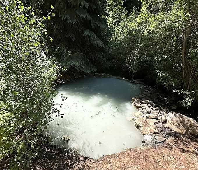 Surrounded by evergreens and aspens, this natural wonder sits nestled in its forest home like a jewel.