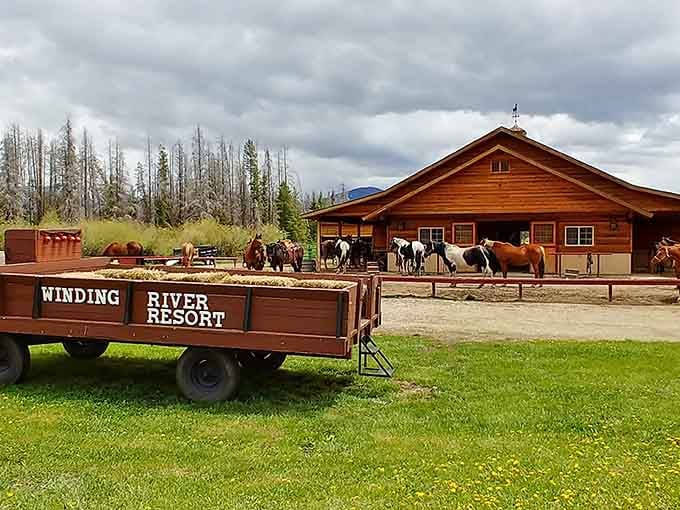 Winding River Resort offers horseback adventures for folks who've always wanted to feel like a real cowboy.