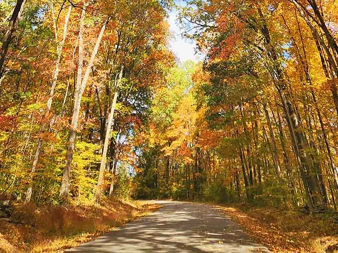 Autumn transforms the surrounding forest into a spectacular display of colors that rivals any New England fall foliage tour.