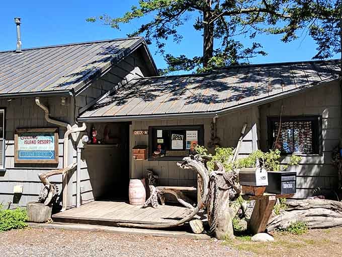 The rustic check-in area sets the tone perfectly—this is island time, where formality takes the first ferry back.