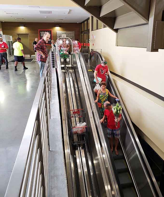 Shopping carts riding their own escalator like tiny mechanical horses heading to the promised land of more groceries.