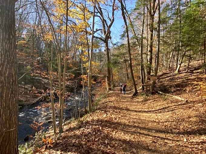 The trail hugs the riverbank like it's afraid to let go, and honestly, who could blame it?