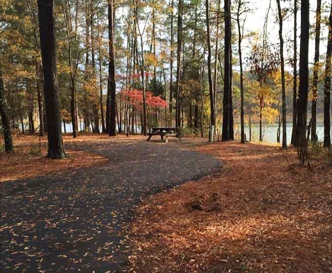 Fall colors frame campsites that look like they belong on a postcard you'd actually want to receive.