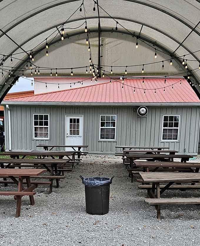 String lights over picnic tables create an outdoor dining space that's perfect for enjoying treats under the Kentucky sky together.