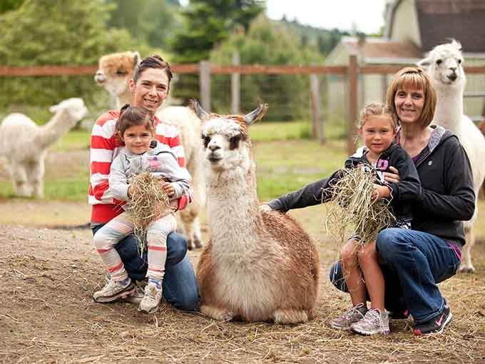 Creating memories with a cushy alpaca beats any posed studio portrait you've ever awkwardly smiled through before.