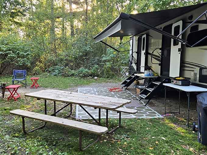 Modern camping comfort meets forest serenity, proving you can have electricity and nature simultaneously.