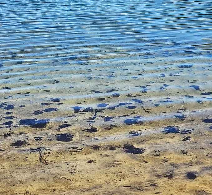 Water so transparent you can count the pebbles below, which is either amazing or slightly unnerving.