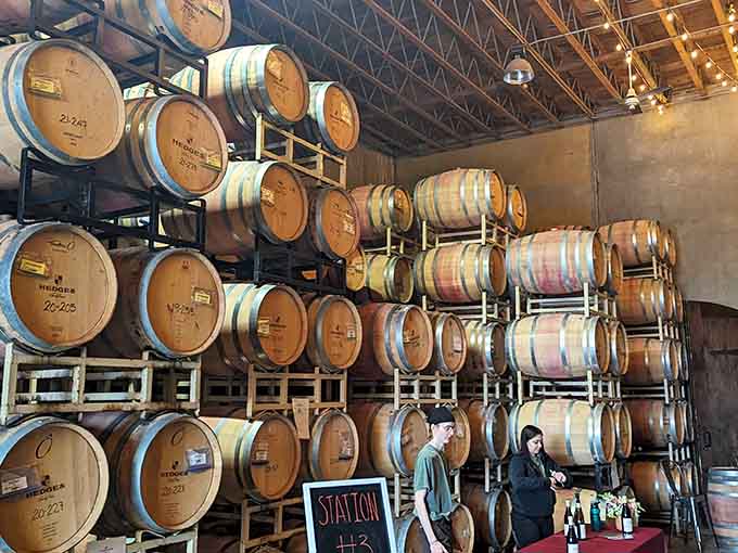 Rows of barrels holding liquid gold, patiently waiting to become something extraordinary in your glass.