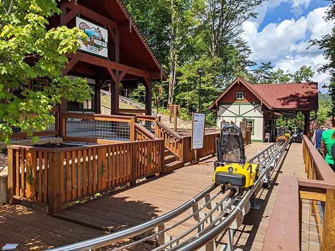 The Georgia Mountain Coaster offers thrills that'll make you forget you're nowhere near actual Alpine slopes.