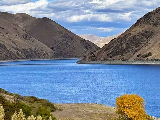 That impossibly blue water against golden hills creates a color combination nature patented millions of years ago.