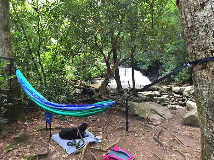 Someone found the ultimate reading spot where the only interruption is the soothing sound of falling water.