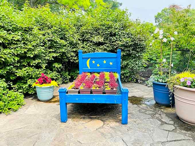 This cheerful blue bed features moon and stars, turning flowers into a nighttime garden fantasy that blooms under the sun.
