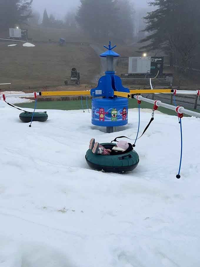 That blue spinning contraption adds an extra dose of whimsy to an already delightful mountain adventure.