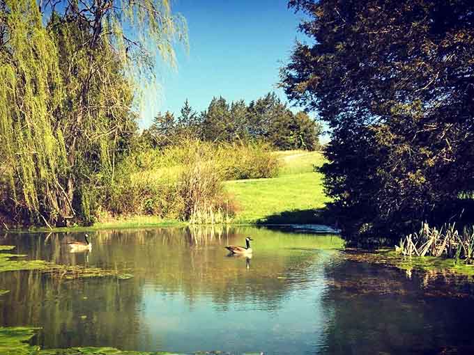 A serene pond with visiting geese completes the pastoral fantasy you didn't realize you were craving.