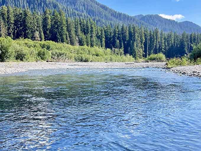 The Hoh River flows crystal-clear beneath mountain peaks, adding rushing water sounds to your forest symphony.