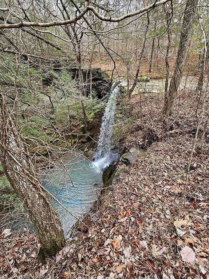 The surrounding landscape creates a natural amphitheater where water is the star performer every single day.