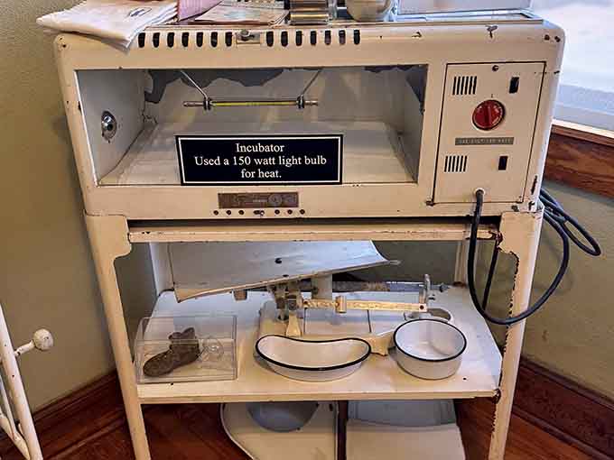 A vintage incubator that used a light bulb for heat&mdash;simpler times required creative, slightly terrifying solutions.