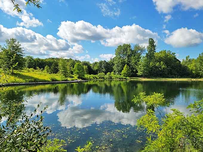 When the water reflects the sky this perfectly, you've found your new favorite spot for peaceful contemplation.