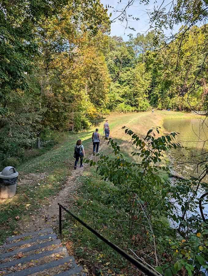 Autumn transforms these trails into a golden wonderland that rivals anything you'd see in New England postcards.