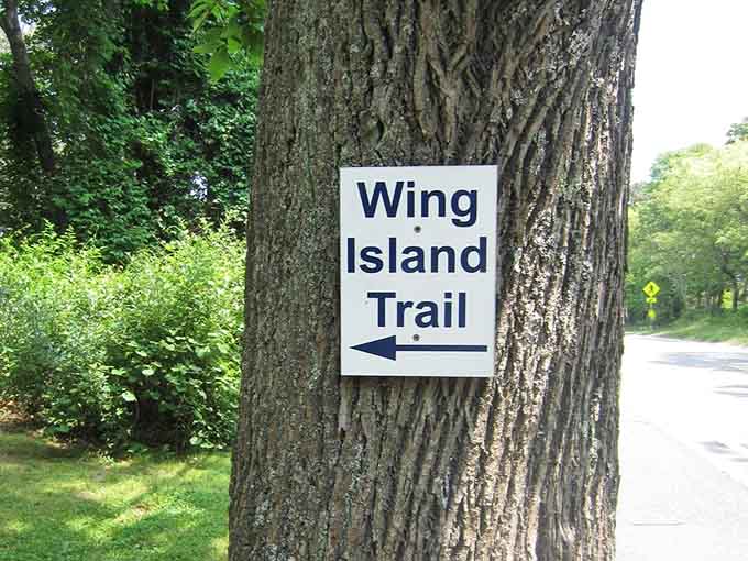 Clear signage means you can focus on scenery instead of wondering if you're hopelessly lost.