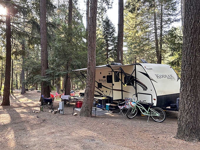 RV camping gets an upgrade when your neighbors are historic cabooses instead of someone's oversized motorhome.