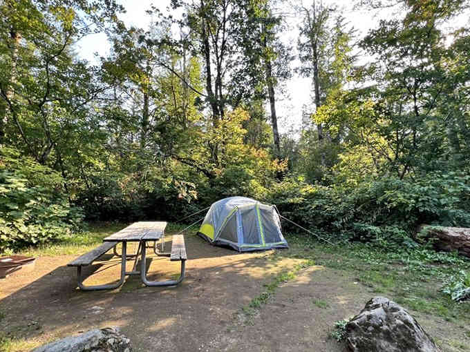 Your campsite awaits, complete with picnic table and enough space to pretend you're a wilderness expert.