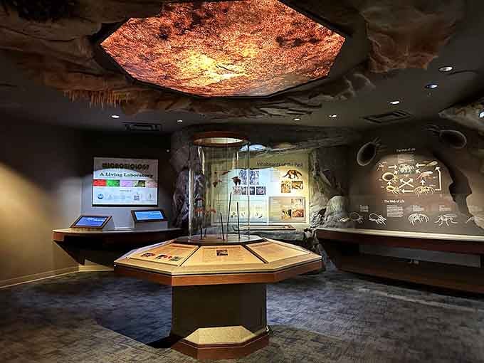 The Discovery Center teaches cave geology without making you feel like you're back in high school science class.