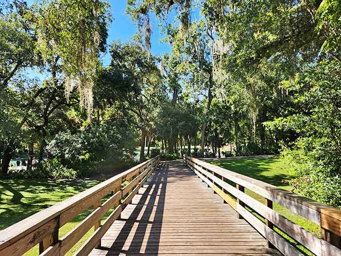 The boardwalk pathway winds through old Florida, proving the best attractions don't need animatronics or gift shops.
