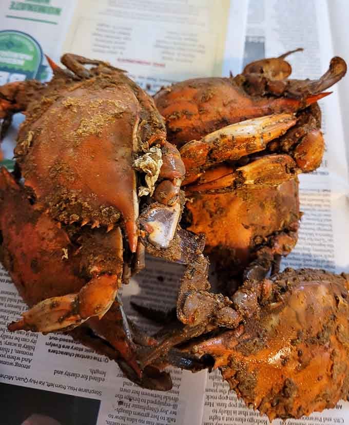 Newspaper-lined crabs wearing their spice coating like badges of honor, ready for the picking ritual to begin.