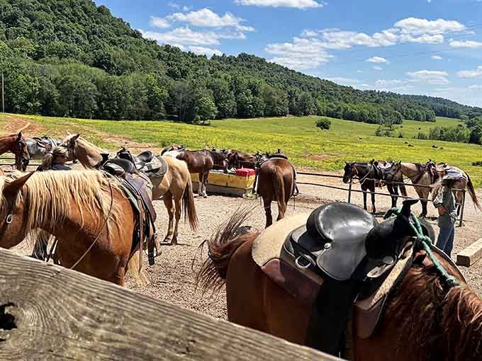 Horseback riding adds a slower-paced adventure for when your legs need a break from all that climbing.