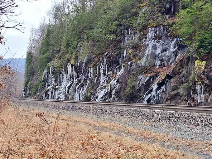 Foliage dripping from cliffsides like nature's chandelier collection – green and fabulous.