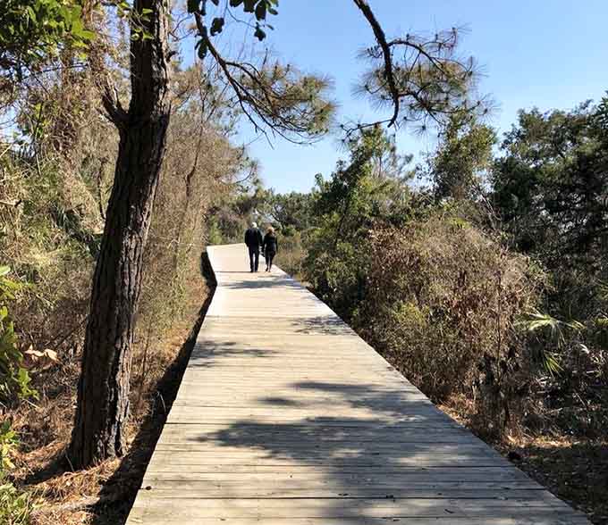 Boardwalks through maritime forests are nature's way of giving you a preview before the main coastal attraction begins.
