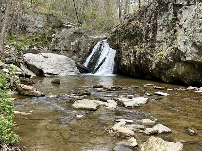 The waterfall's gentle curtain spills into a tranquil pool, inviting contemplation and maybe a refreshing dip.