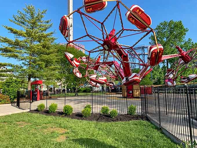 This crimson contraption spins riders like a carnival kaleidoscope, turning dignified adults into giggling teenagers once again.