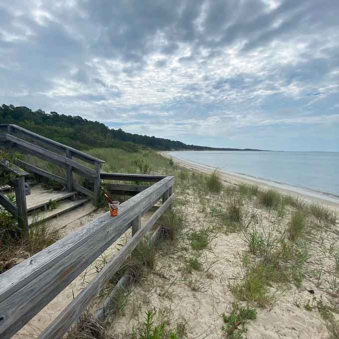 Benches overlook endless beach vistas where your biggest decision is sunbathing or shell hunting today.