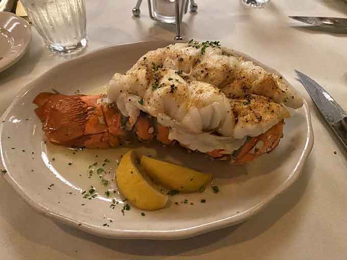 That lobster tail looks like it's doing yoga, stretching out in buttery, succulent perfection on the plate.