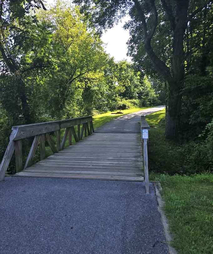Charming wooden footbridge adds a touch of storybook magic to your everyday walk around the lake.