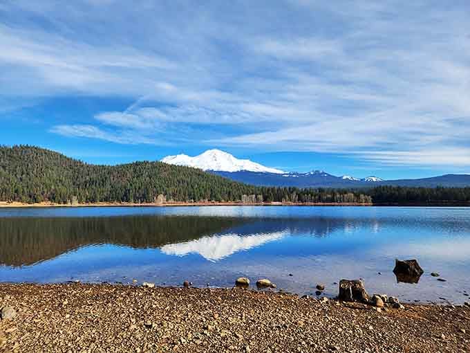 Mount Shasta's reflection in the crystal-clear water creates a view that no screensaver could ever properly capture.
