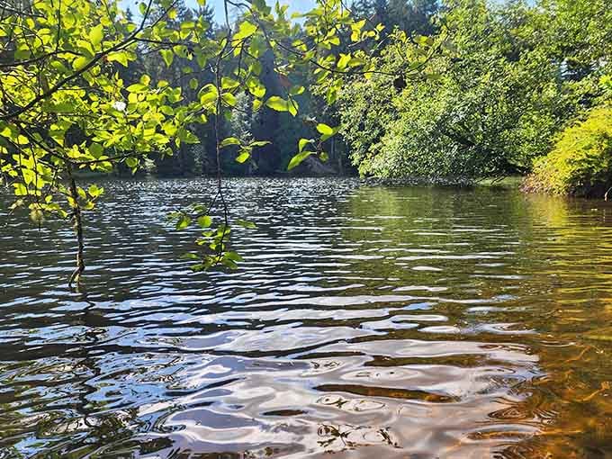 Sunlight dancing on rippled water creates the kind of natural light show no screen can replicate.