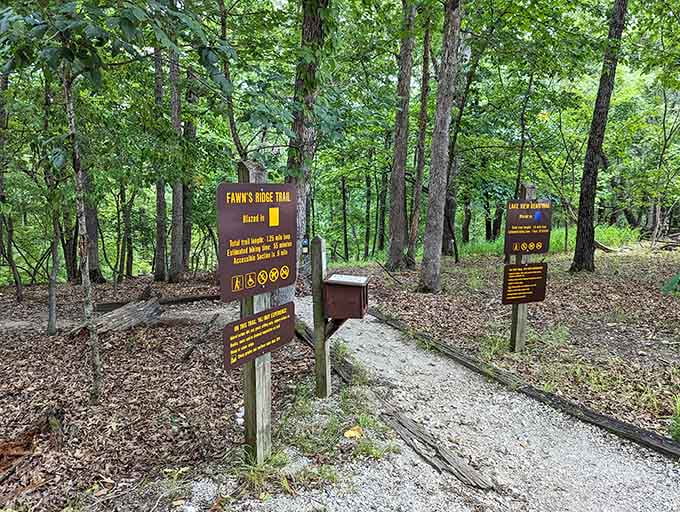 Trail markers that actually make sense, unlike those confusing IKEA furniture instructions we all struggle with.