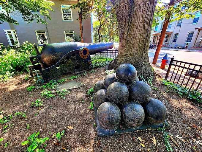 Even historic cannons need a shady spot to rest after centuries of not being fired at anyone anymore.