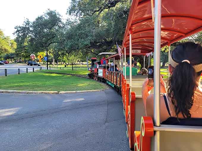 All aboard for a journey where the destination matters less than the smiles you'll collect along the scenic route.